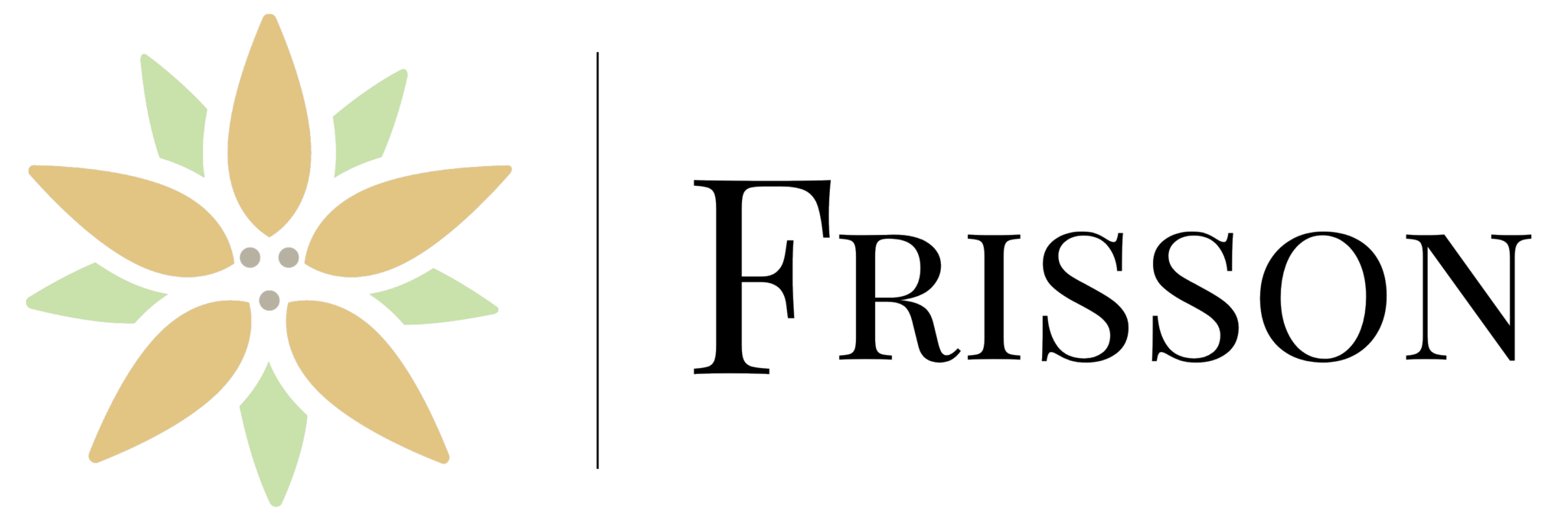 About Us – Modern Sound Collective